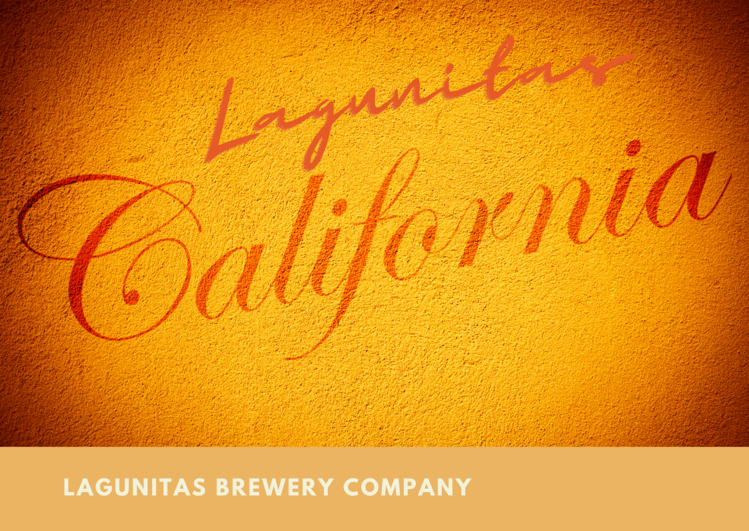 A Mighty Fine IPA – Lagunitas | Home Bar Kit