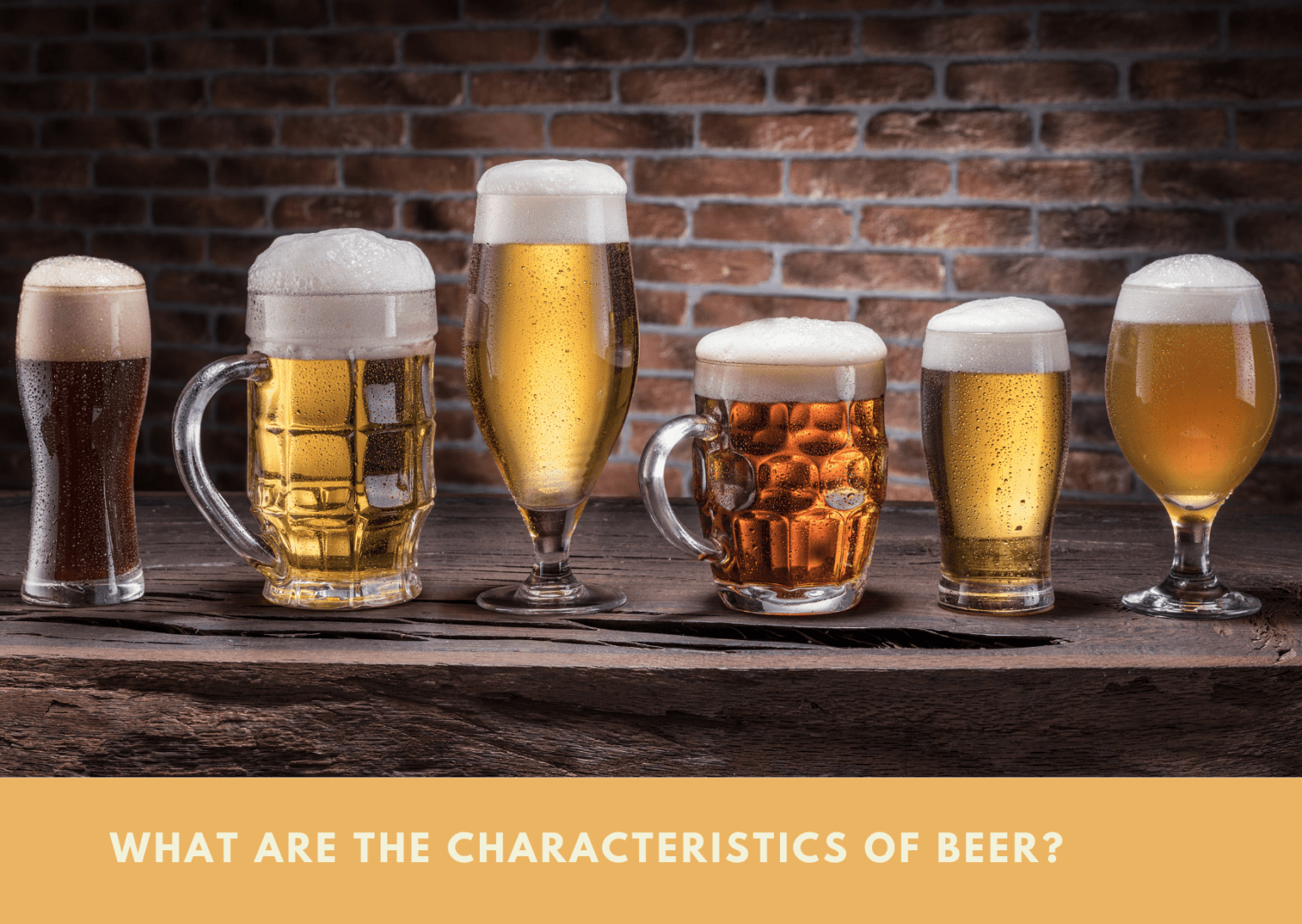What Are The Characteristics Of Beer? | Home Bar Kit