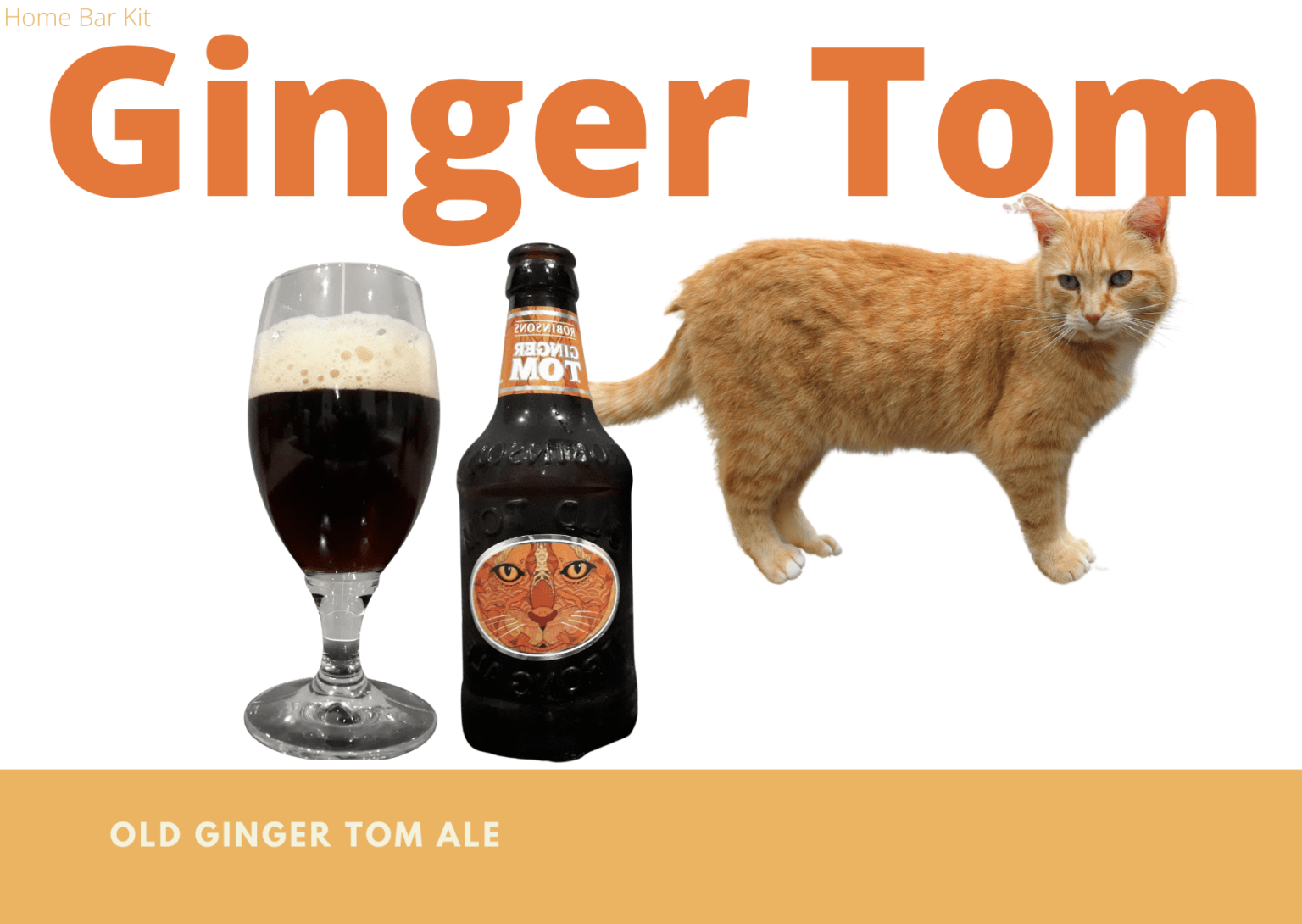 Robinsons Old Tom Goes Ginger Tom | Home Bar Kit