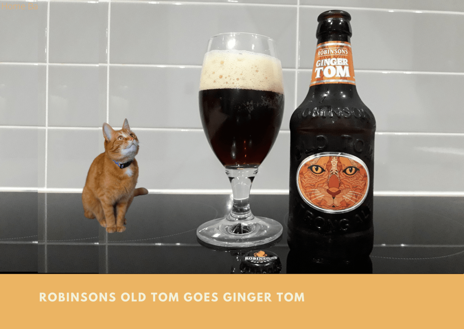 Robinsons Old Tom Goes Ginger Tom | Home Bar Kit