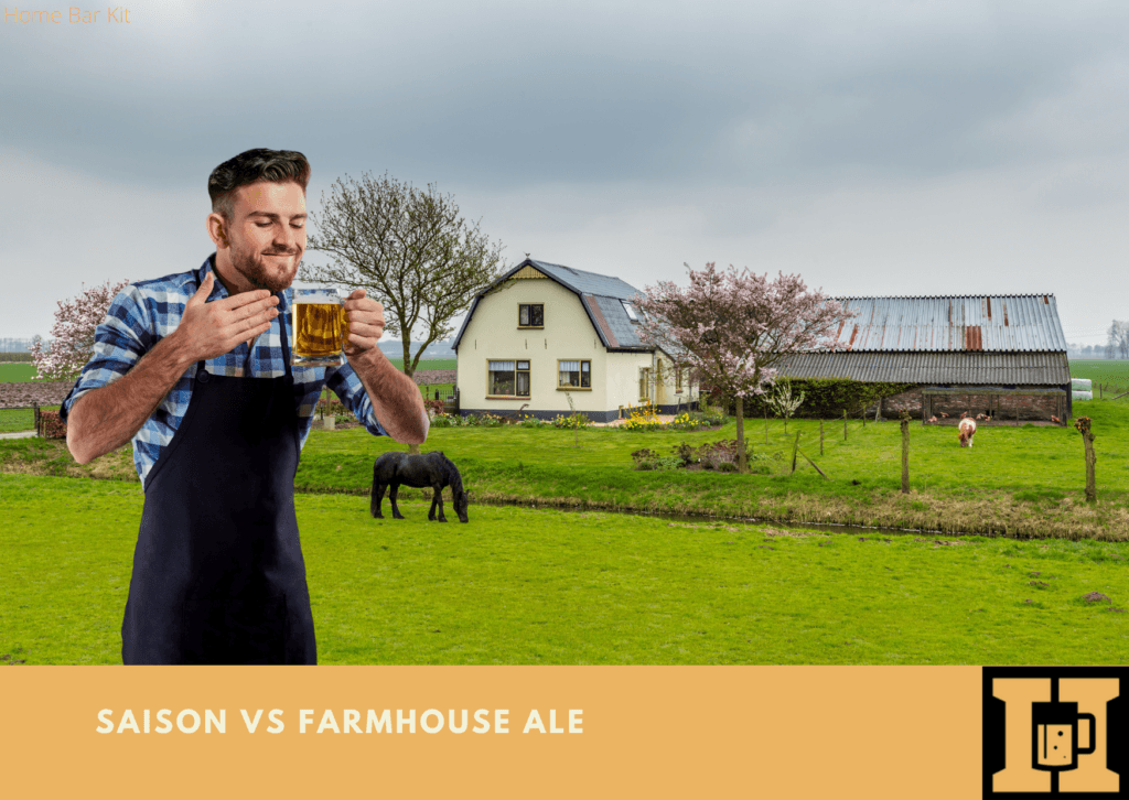Saison Vs Farmhouse Ale What's The Difference | Home Bar Kit