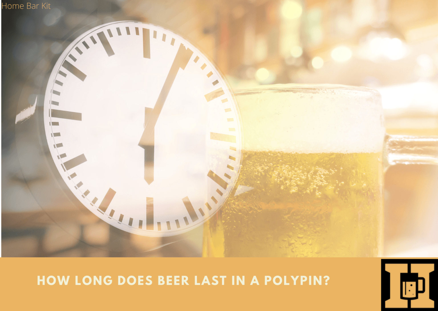 What Is A Polypin Beer Bag? | Home Bar Kit