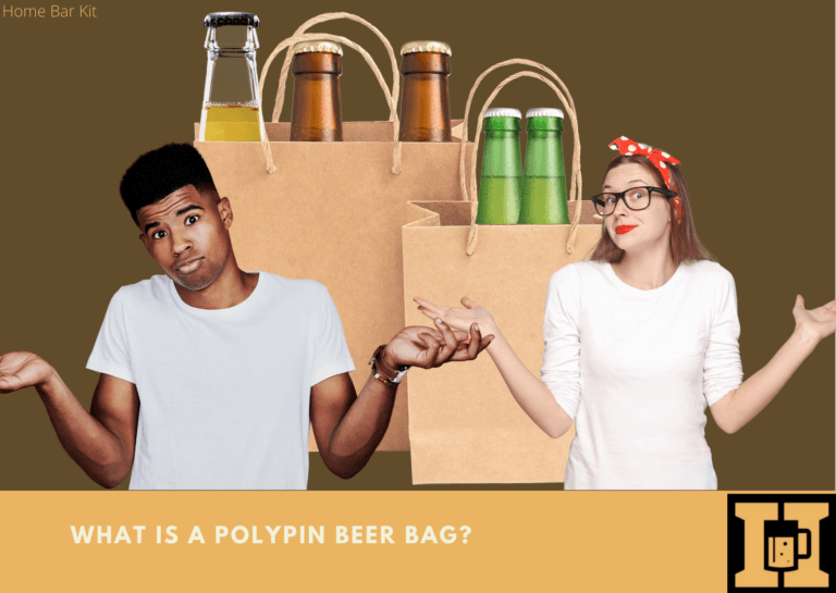 What Is A Polypin Beer Bag? | Home Bar Kit