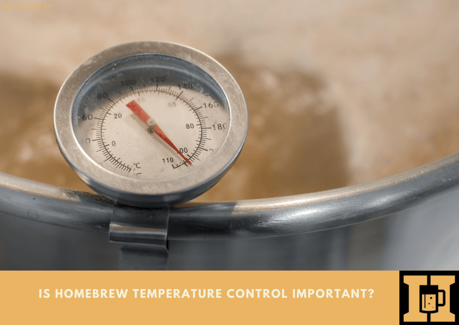 Is Homebrew Temperature Control Important | Home Bar Kit