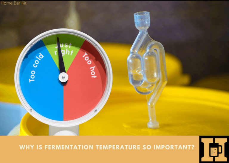 Is Homebrew Temperature Control Important | Home Bar Kit