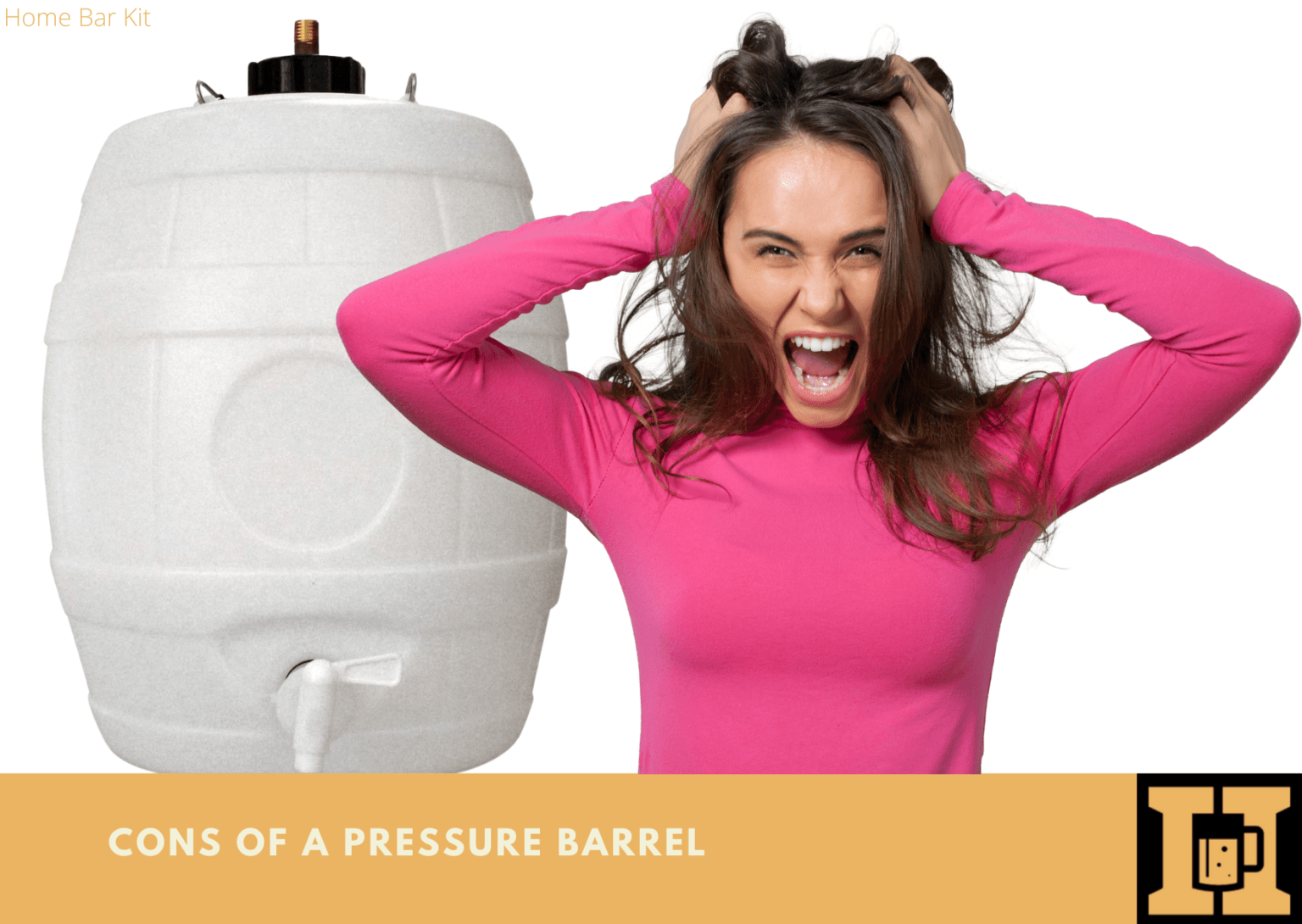 What Is Better A Pressure Barrel Or Bottles? | Home Bar
