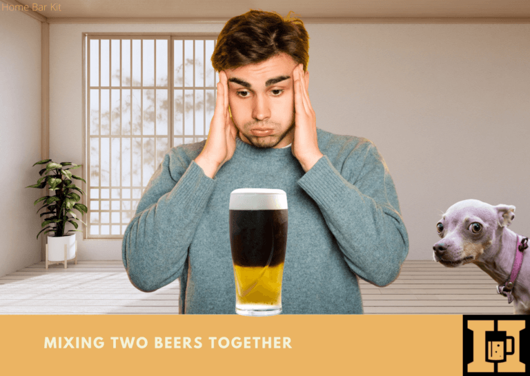 What Beers Can Be Mixed Together? Home Bar Kit
