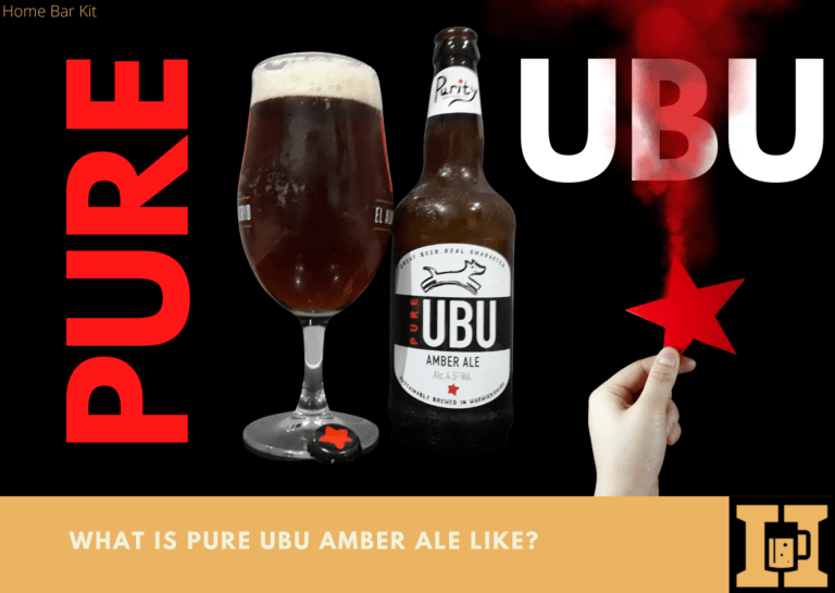 What Is Pure UBU Amber Ale Like? | Rate My Beer | HBK