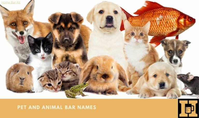 What Are Some Good Catchy Bar Names? | Home Bar Kit